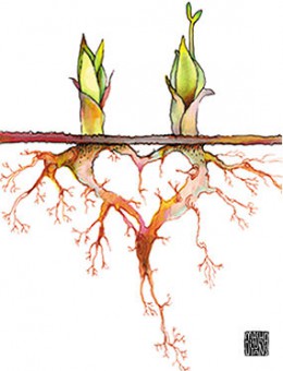 heartroots - Masha = Watercolor MischiefMasha = Watercolor Mischief